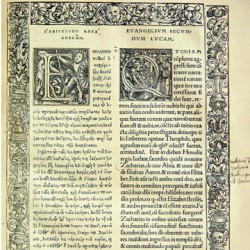 Érasme (1469-1536) | Musée virtuel du Protestantisme